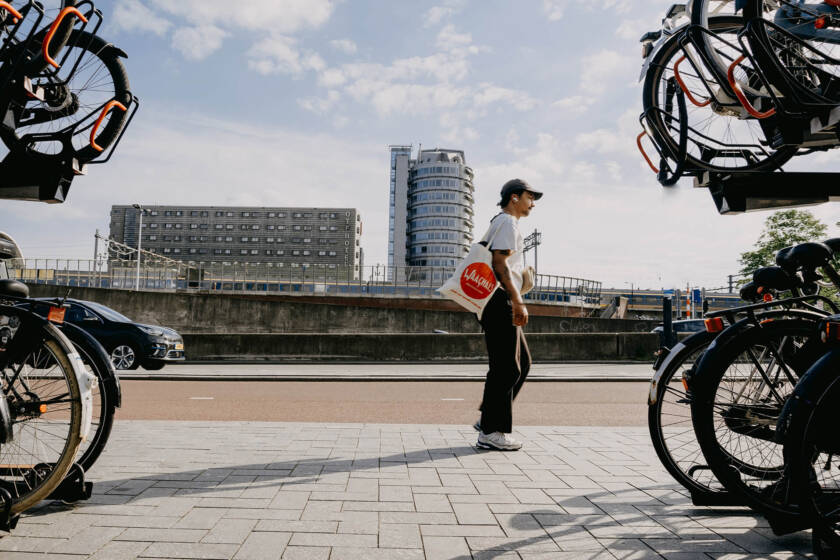 The Best Student Work Design Course – Southern Elements