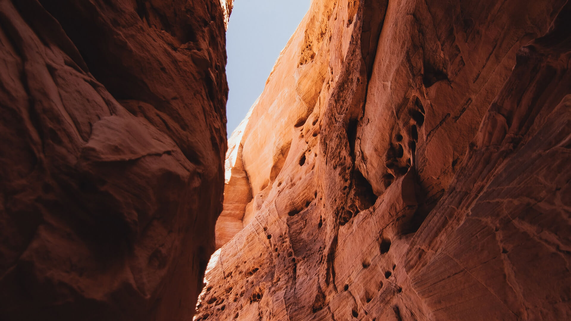 Fiber Patch Cables – Southern Elements