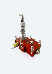 Southern Elements – Everything Fiber